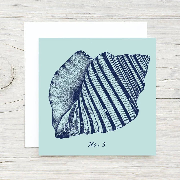 Shell No. 3 Gift Card – Brook Isle