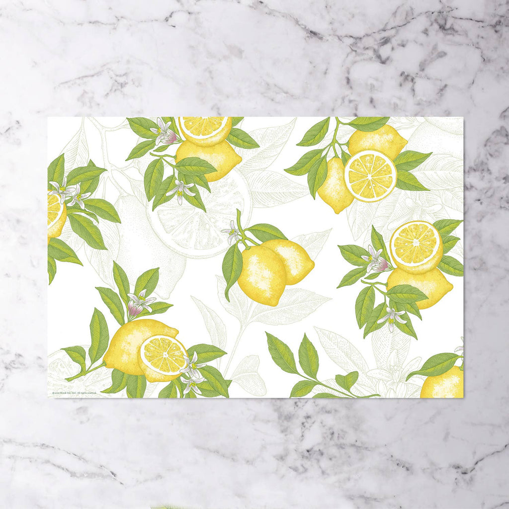 Lemons All Over Paper Placemats – Brook Isle